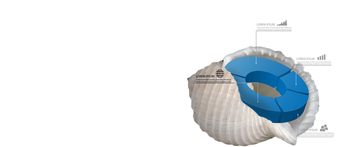 Research_Shell-chart-BLACK_2 - SuperRatings